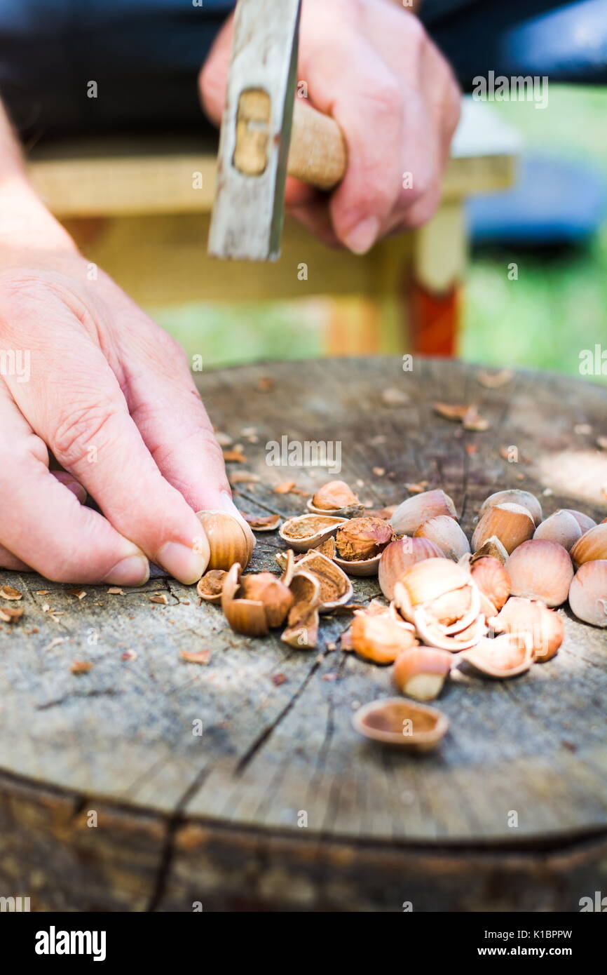 Man cracking a nut hi-res stock photography and images - Alamy