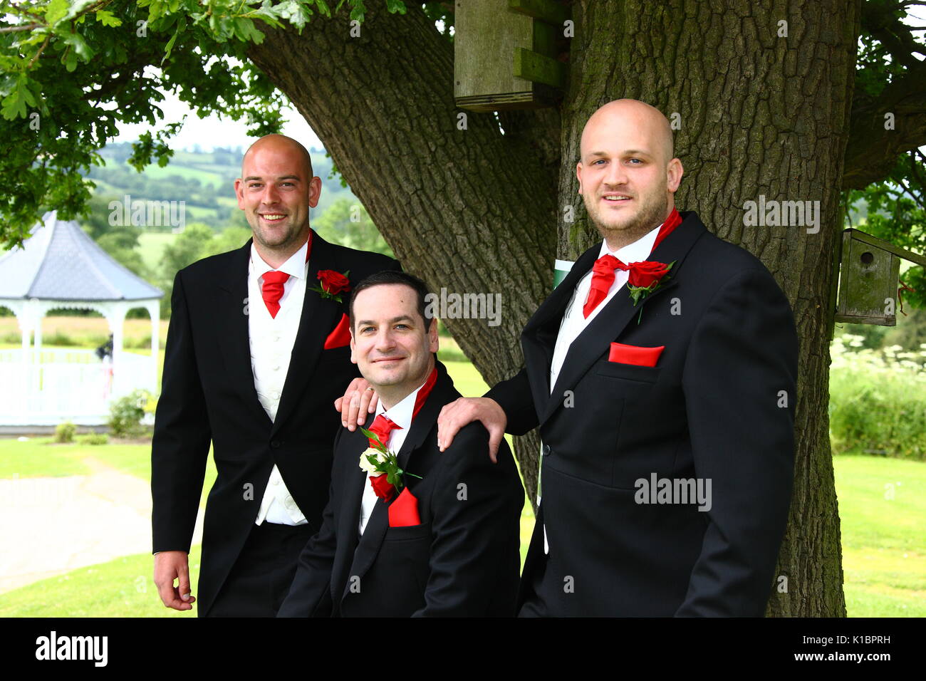 Wedding photographs, couples getting married and celebrating with their ...