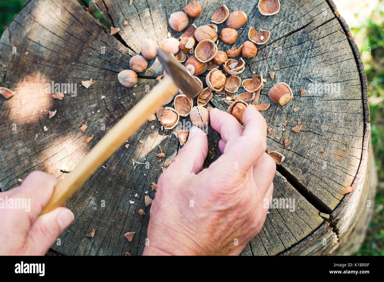 Man cracking a nut hi-res stock photography and images - Alamy