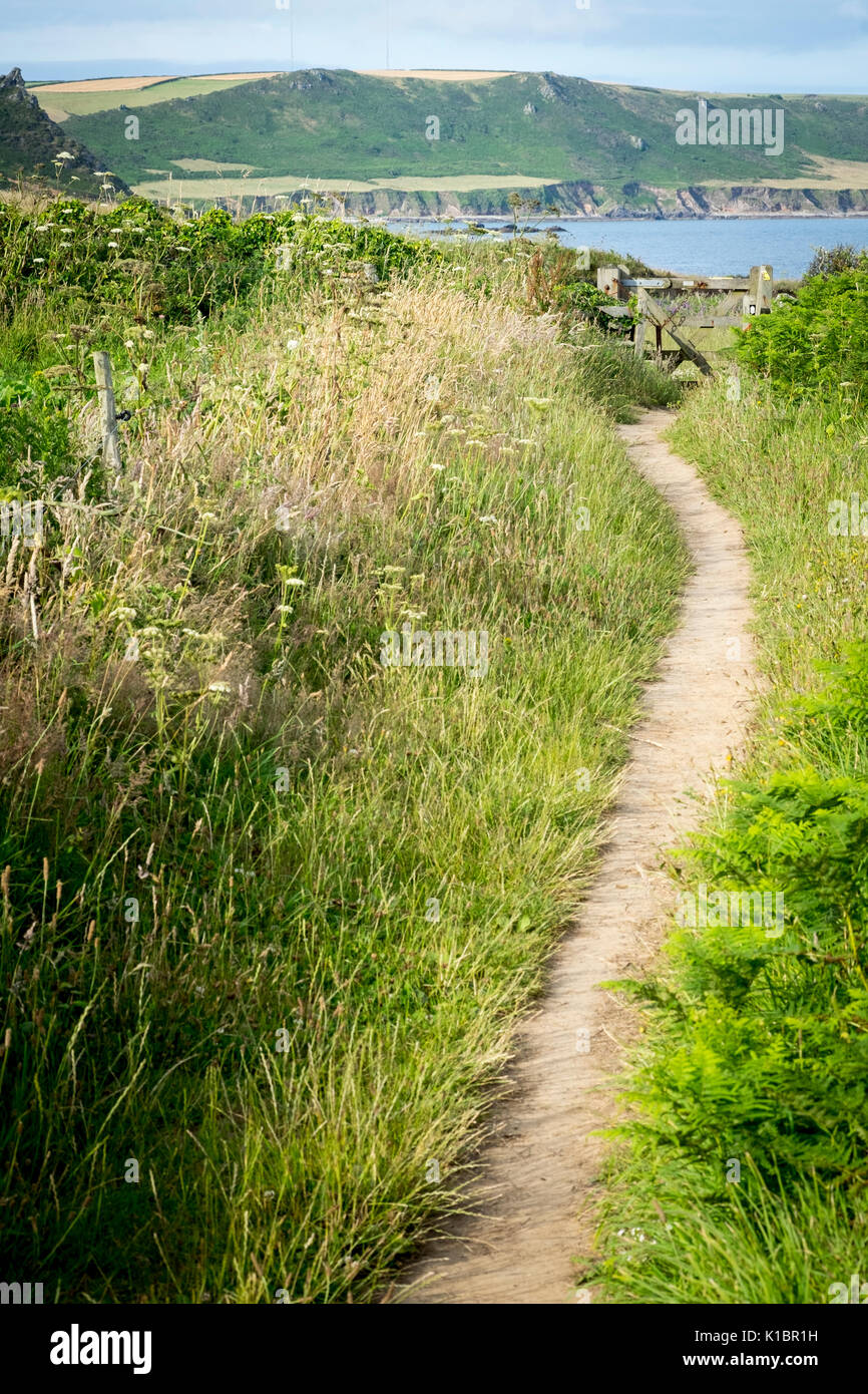 South West Coast Path near East Prawle, Devon Stock Photo - Alamy