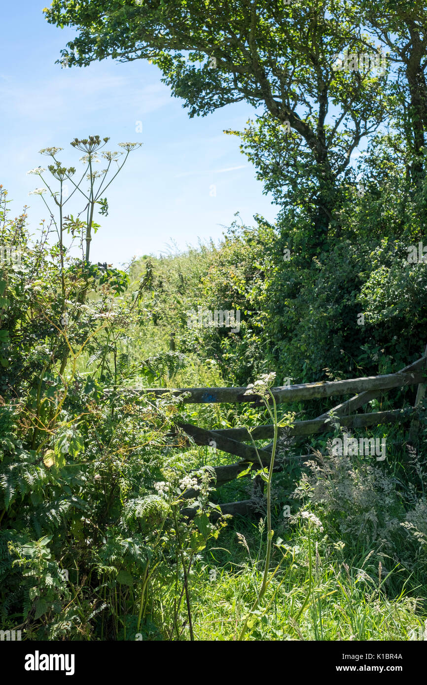 Five Bar Gate leading into farm field in South devon Stock Photo - Alamy