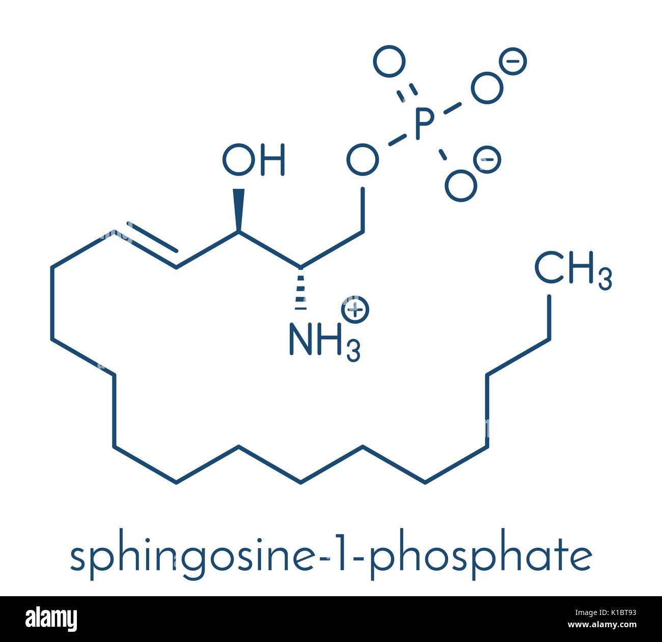 Sphingosine-1-phosphate (S1P) signaling molecule. Skeletal formula ... Sphingosine-1-phosphate (S1P) signaling molecule. Skeletal formula ...