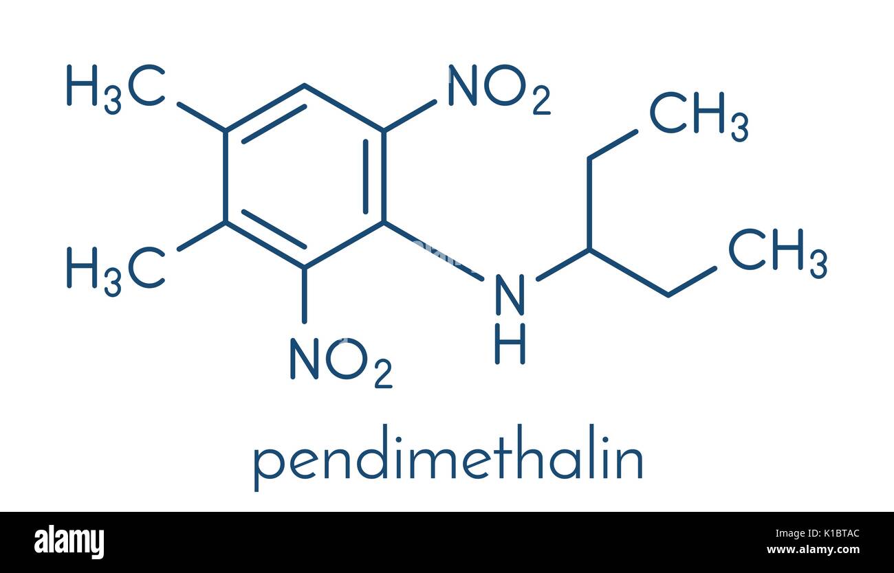 Pendimethalin herbicide molecule. Skeletal formula Stock Vector Image ...