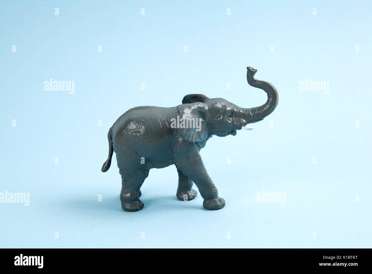 a plastic elephant on a vibrant blue background. Minimal color still ...