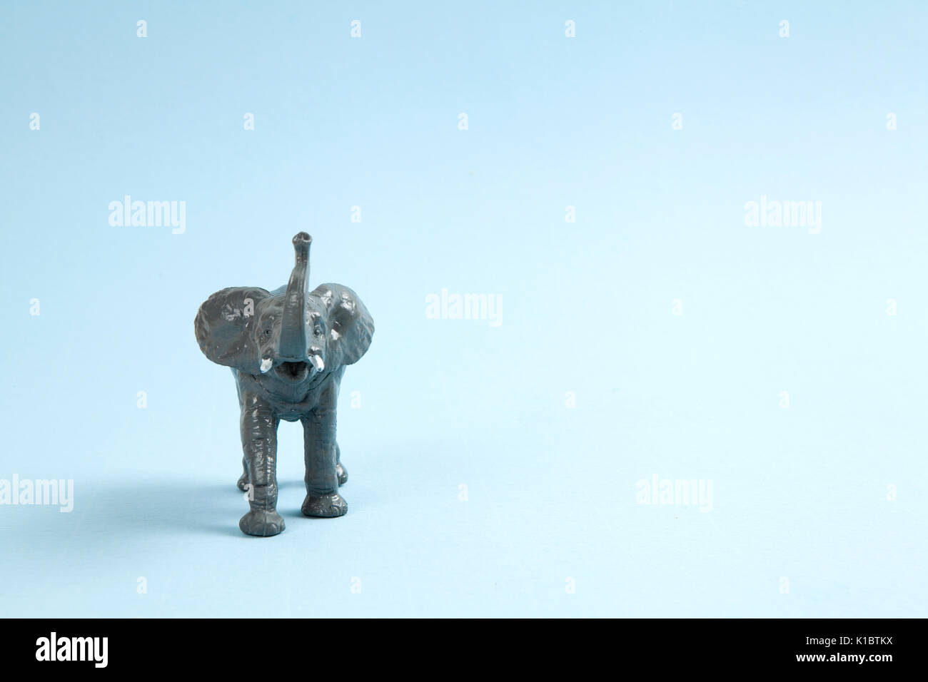 a plastic elephant on a vibrant blue background. Minimal color still ...