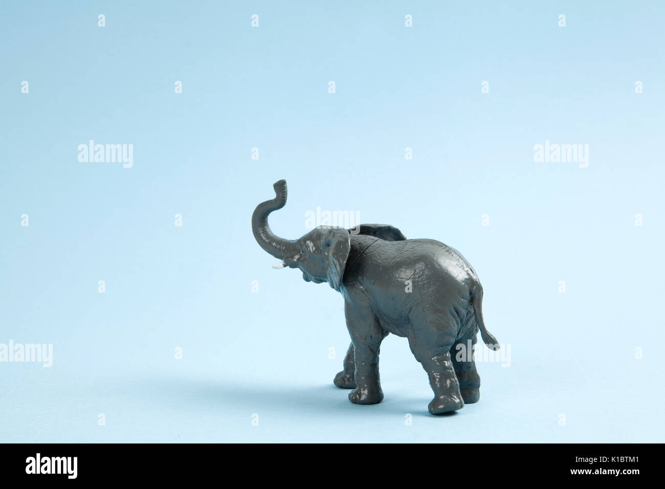 a plastic elephant on a vibrant blue background. Minimal color still ...