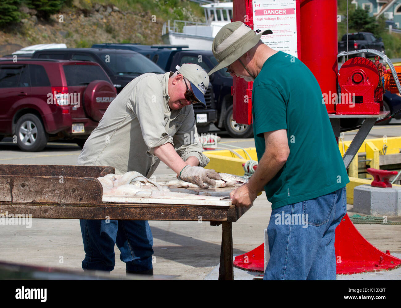 Gutting cod fish hi-res stock photography and images - Alamy