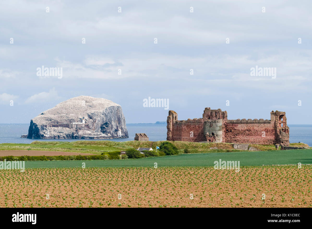 Scotland - Bass Rock and Tantallon Castle can be seen together from the ...