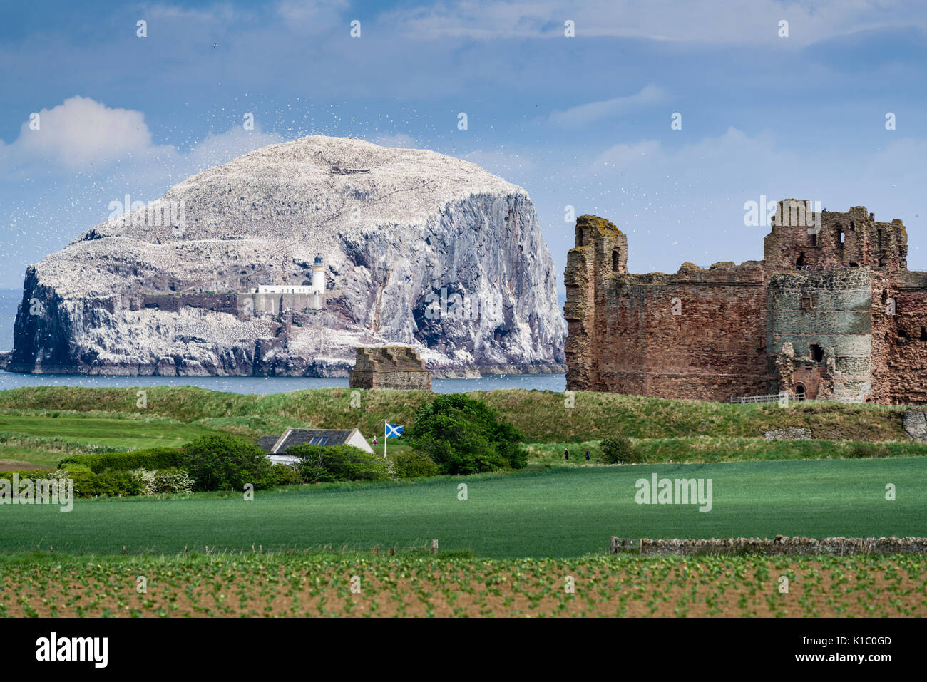 Scotland - Bass Rock and Tantallon Castle can be seen together from the ...
