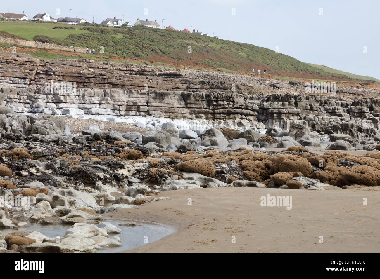 The beach side cliffs with tracks and paths on top with the houses of ...