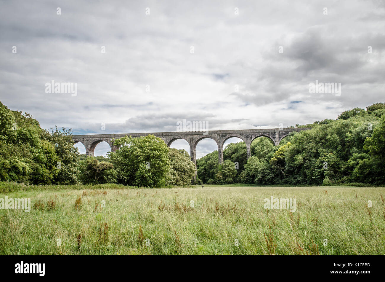 Porthkerry Country Park in Barry, Vale of Glamorgan, Wales Stock Photo ...