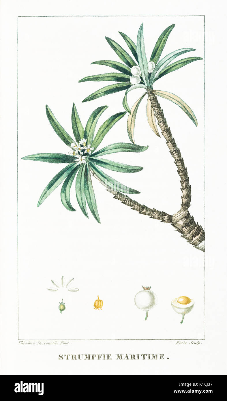 Maritime season Cut Out Stock Images & Pictures - Alamy