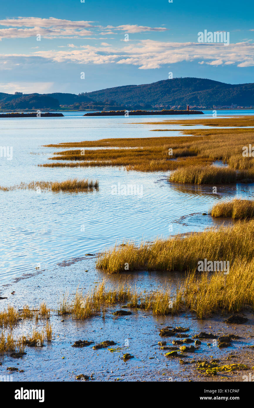 Santoña, Victoria and Joyel Marshes Natural Park. Colindres, Cantabria ...