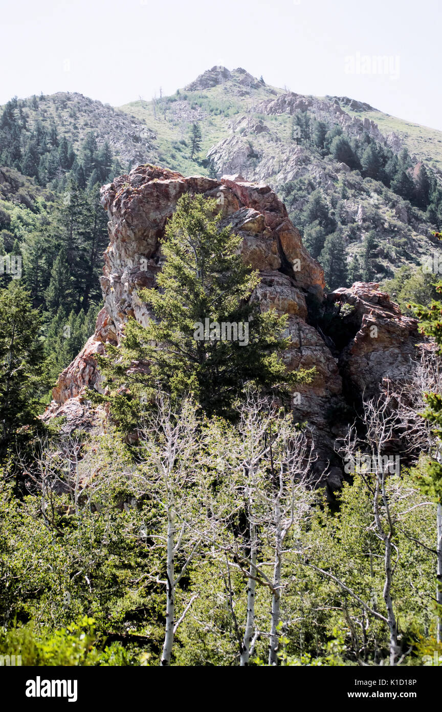 Humongous hi-res stock photography and images - Alamy