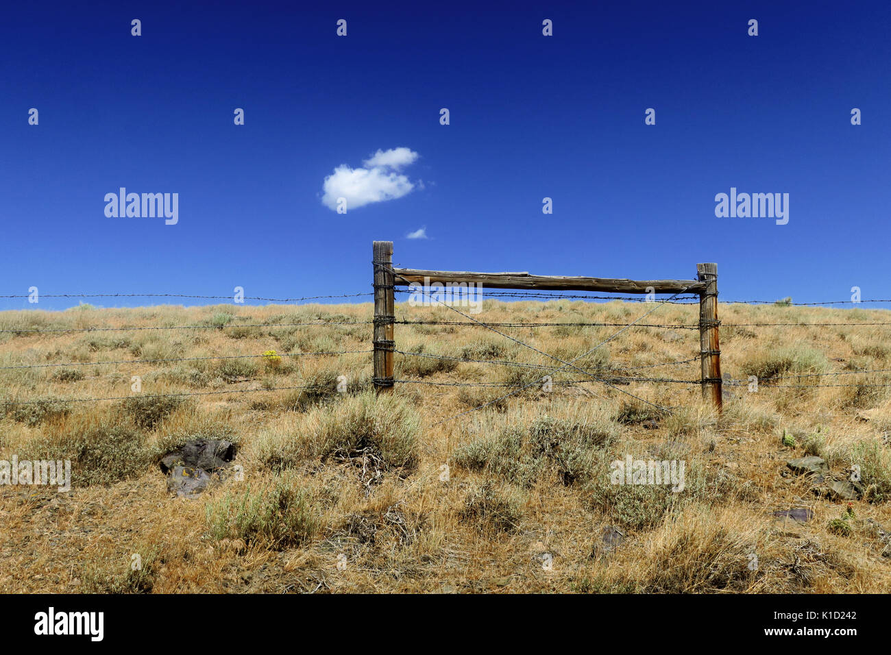 Barbed wire fence in desert hi-res stock photography and images - Alamy