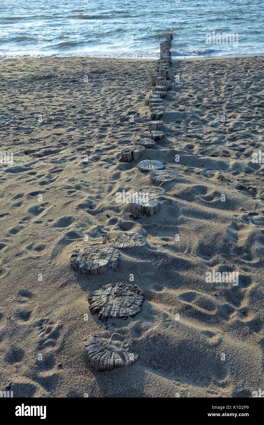 Wooden groynes in sand at the North Sea beach Stock Photo - Alamy