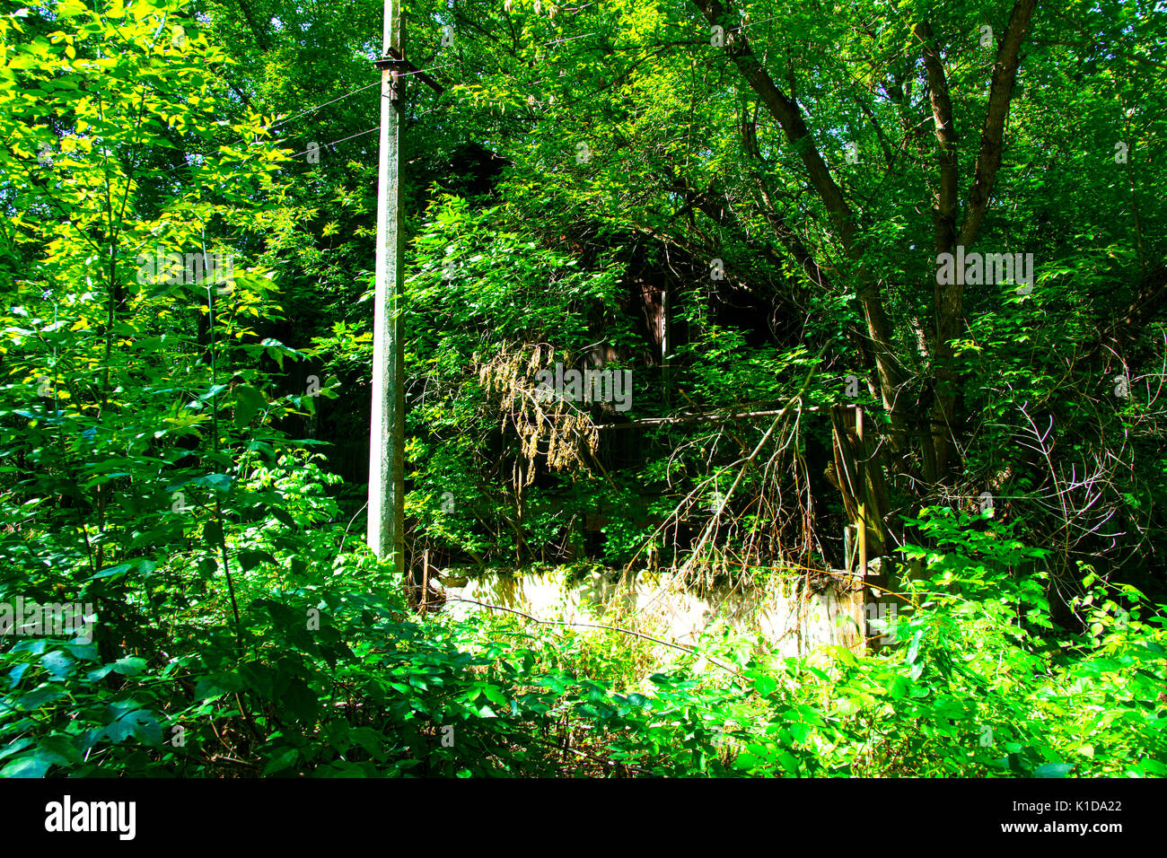 Destroyed houses in which people lived in a dead radioactive zone ...