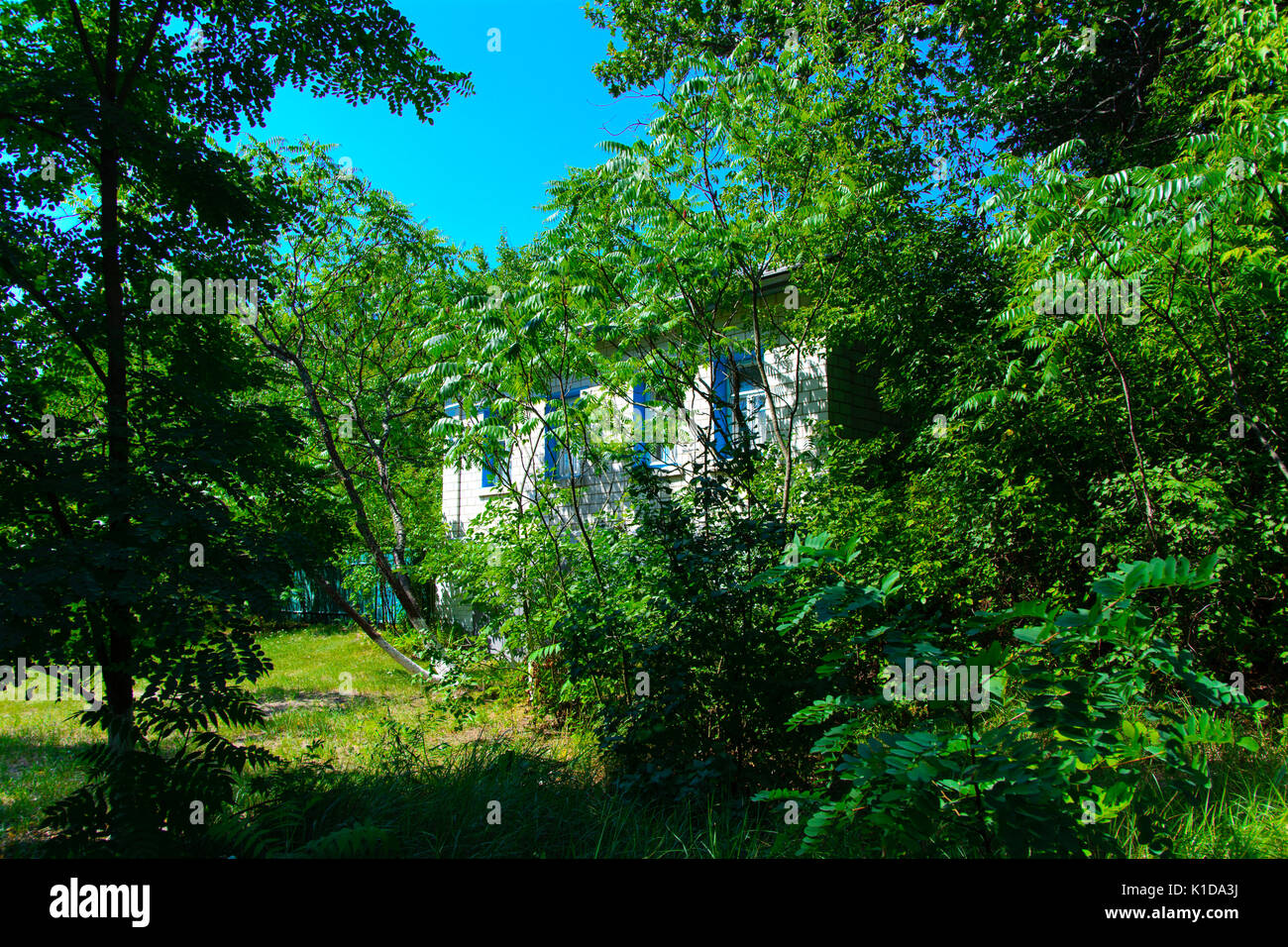 Destroyed houses in which people lived in a dead radioactive zone ...