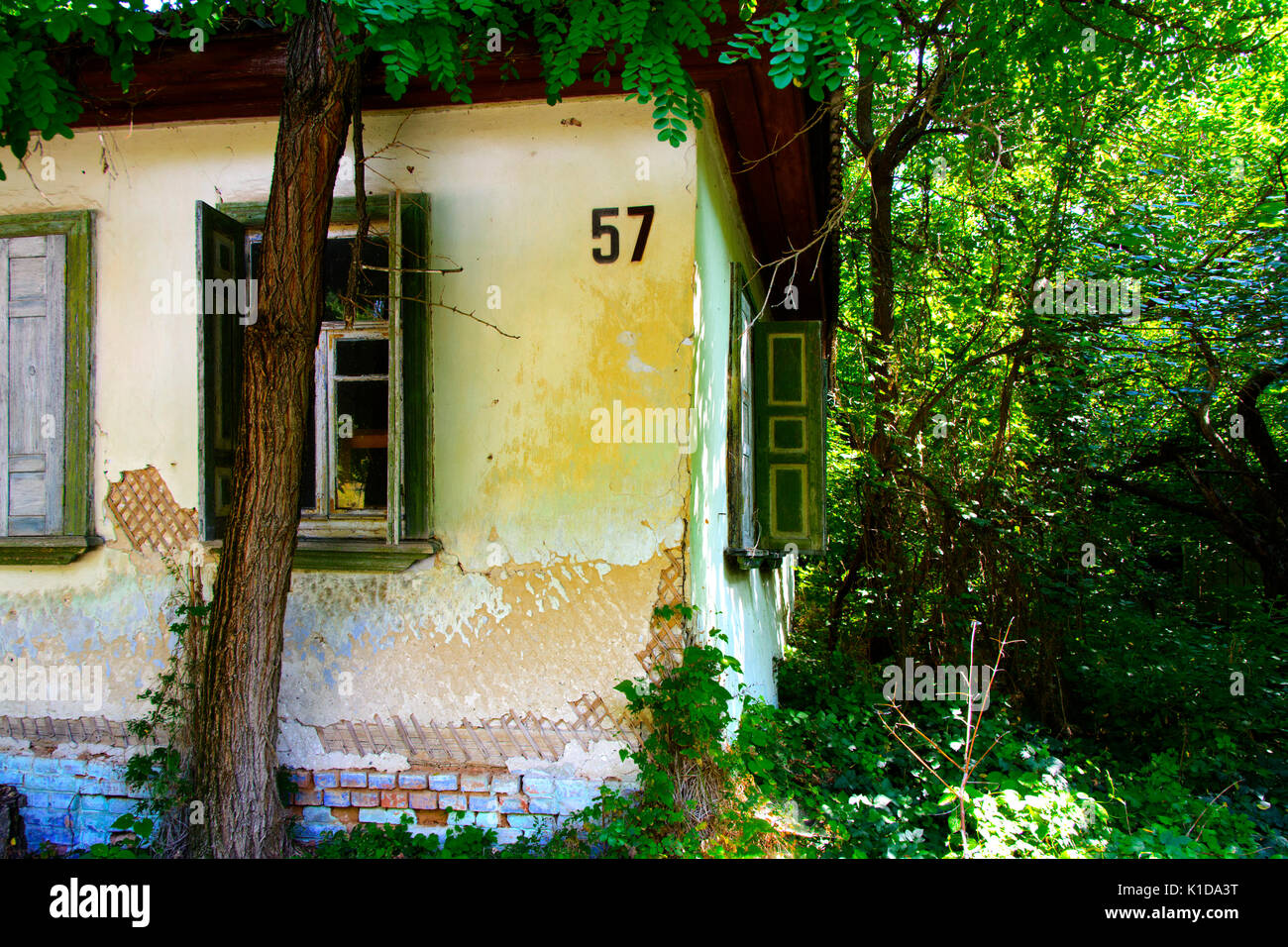Destroyed houses in which people lived in a dead radioactive zone ...