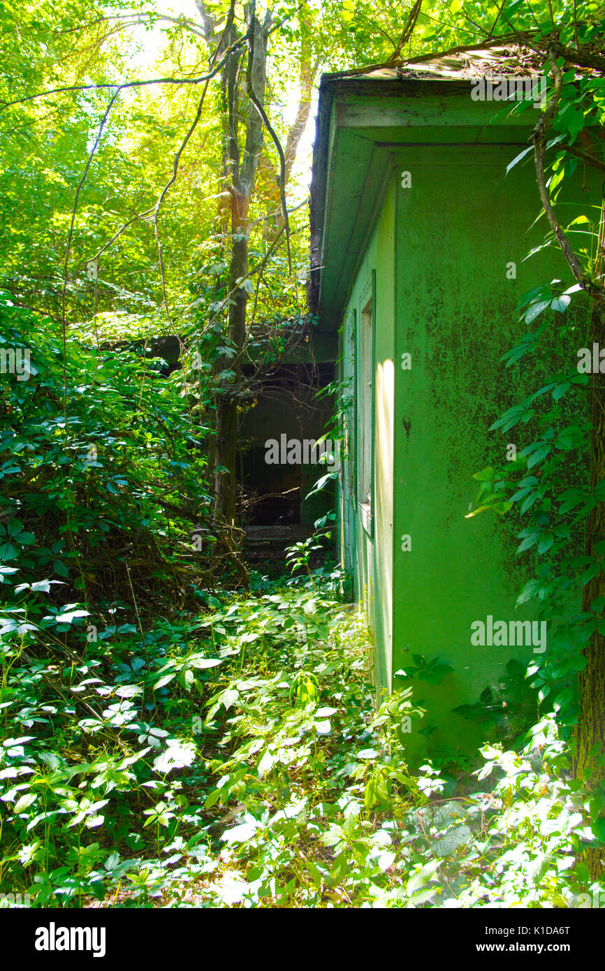 Destroyed houses in which people lived in a dead radioactive zone ...
