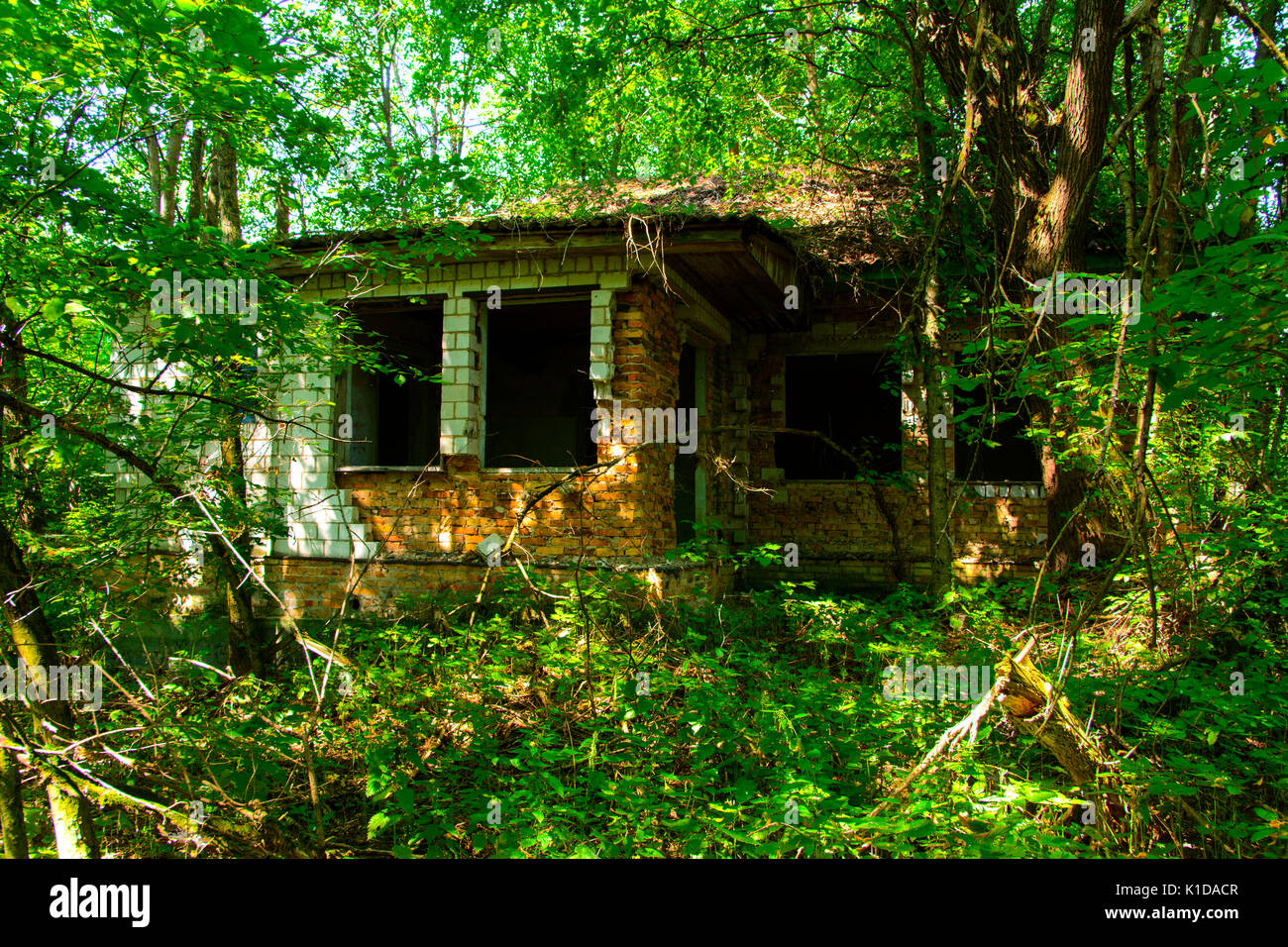 Destroyed houses in which people lived in a dead radioactive zone ...