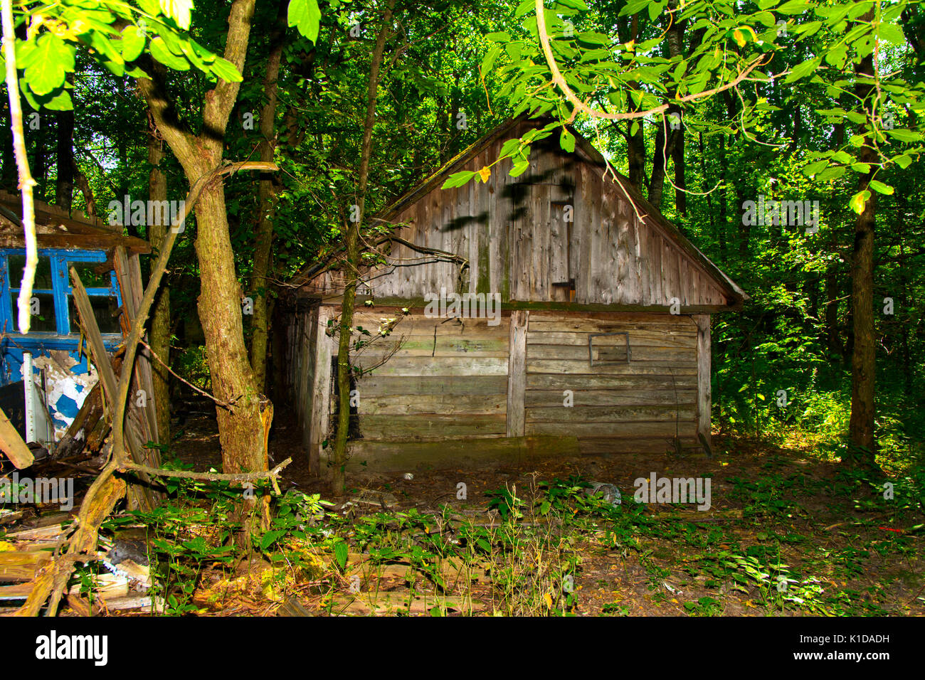 Destroyed houses in which people lived in a dead radioactive zone ...
