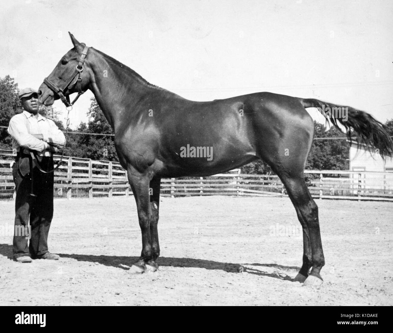Rural worker horse in Black and White Stock Photos & Images - Alamy