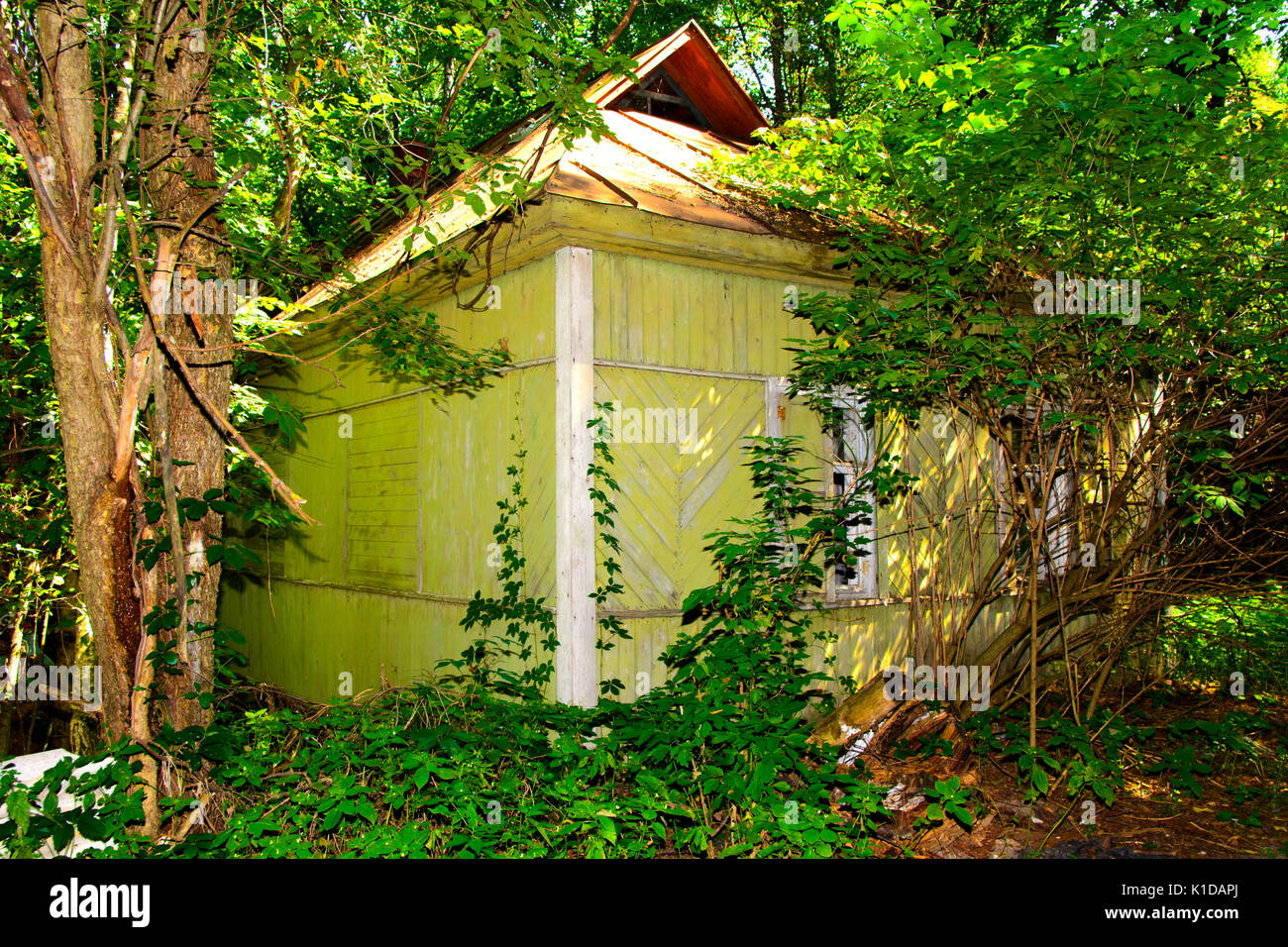 Destroyed houses in which people lived in a dead radioactive zone ...