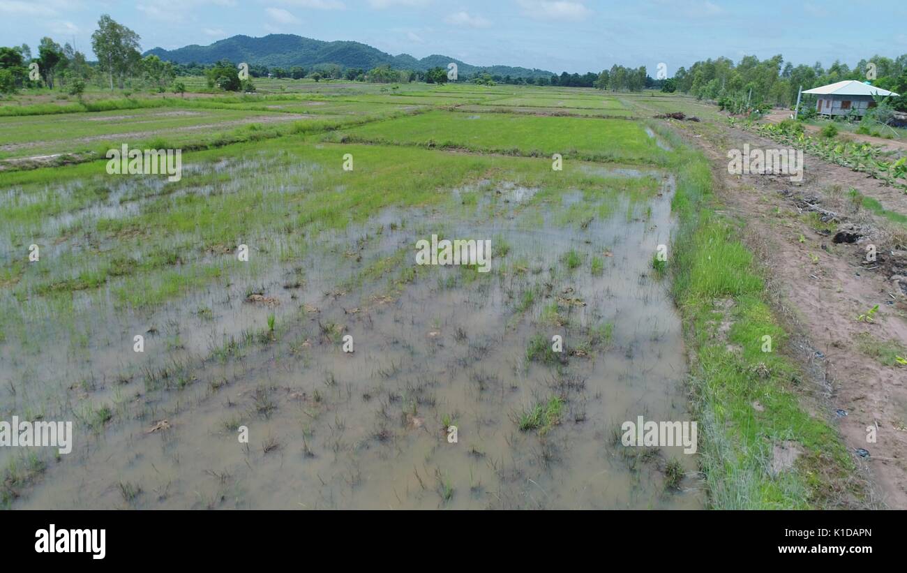 Drone footage of farm land hi-res stock photography and images - Alamy