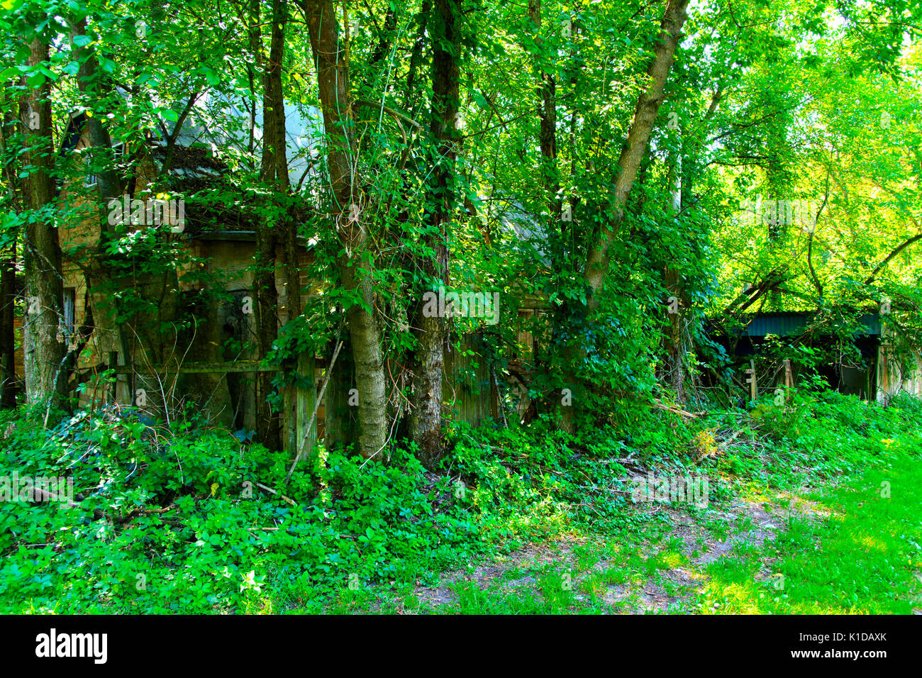 Destroyed houses in which people lived in a dead radioactive zone ...