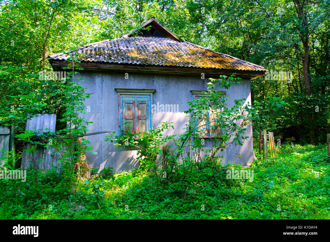 Destroyed houses in which people lived in a dead radioactive zone ...