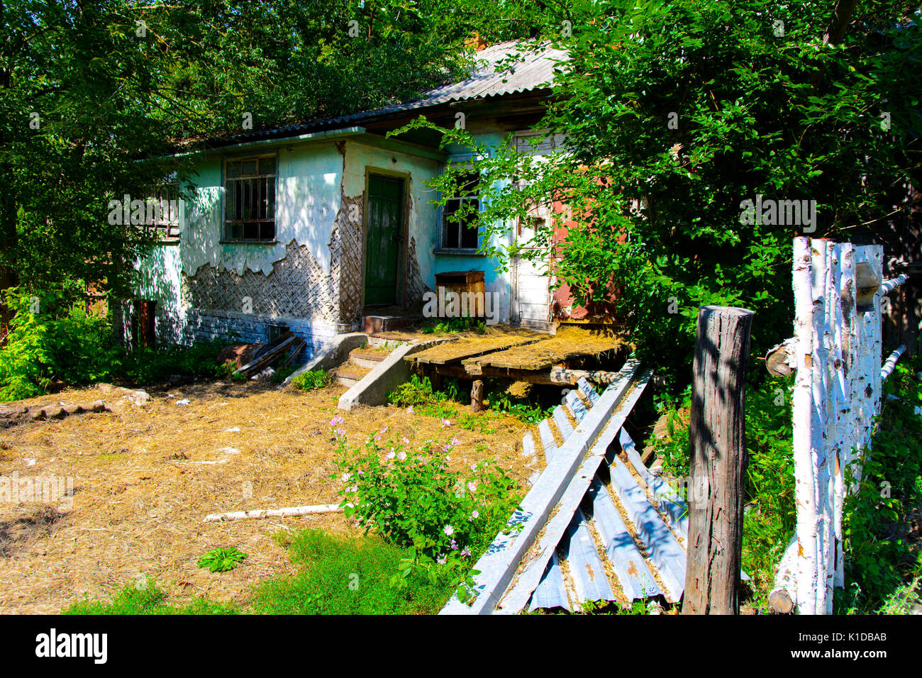 Destroyed houses in which people lived in a dead radioactive zone ...