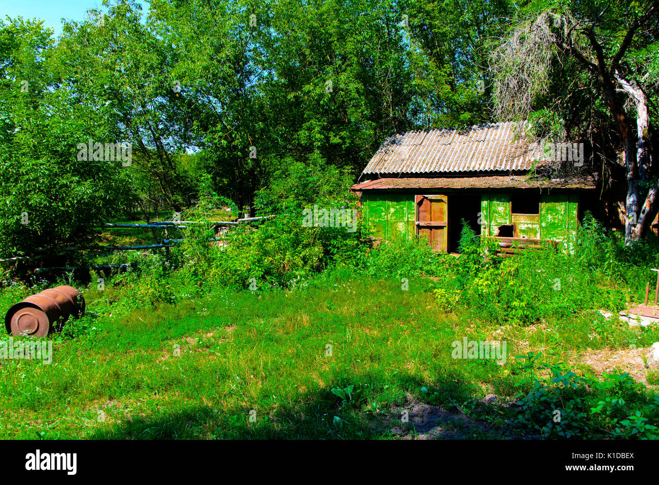 Destroyed houses in which people lived in a dead radioactive zone ...
