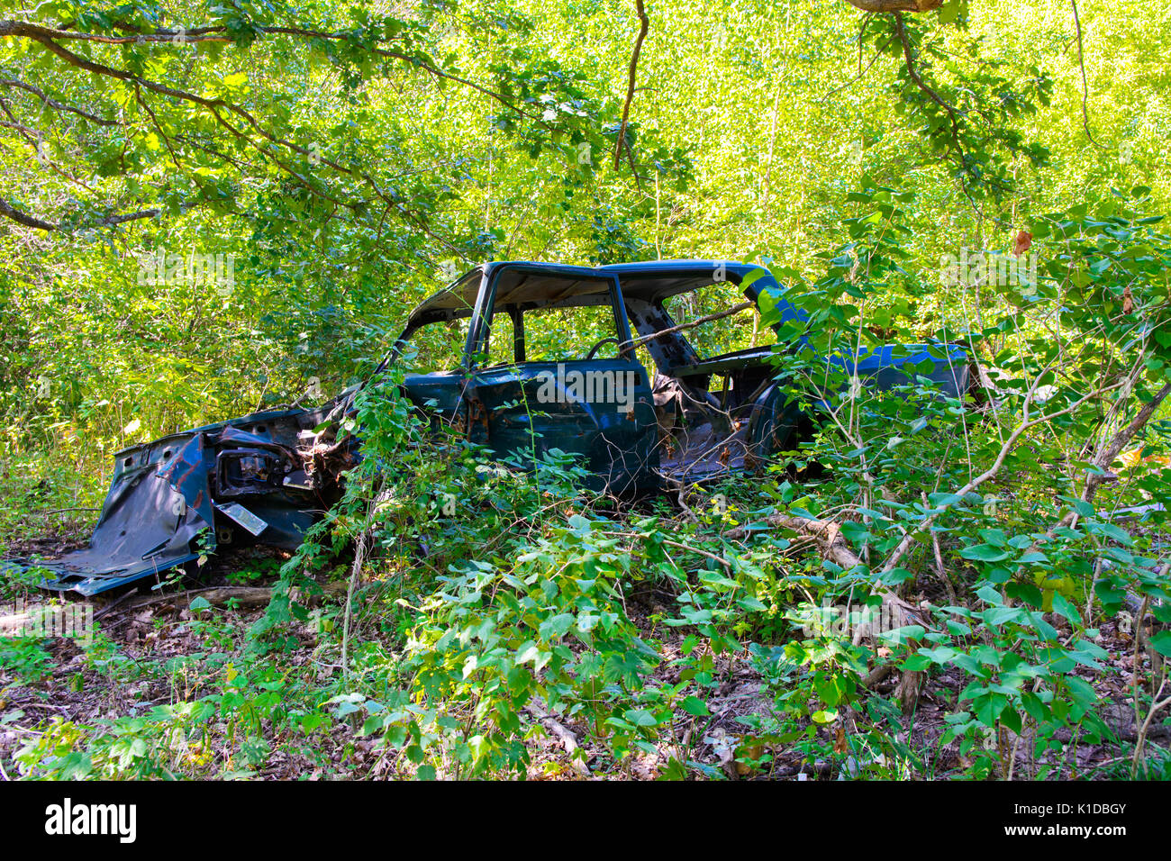 Destroyed houses in which people lived in a dead radioactive zone ...
