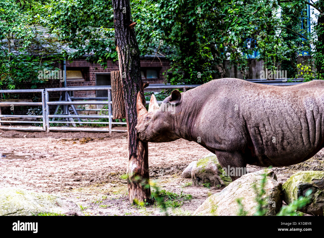 Zoological Gardens and Aquarium in Berlin Germany. The Berlin Zoo is ...