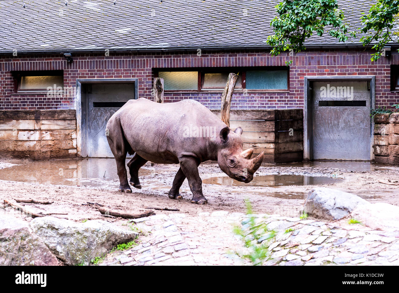 Zoological Gardens and Aquarium in Berlin Germany. The Berlin Zoo is ...