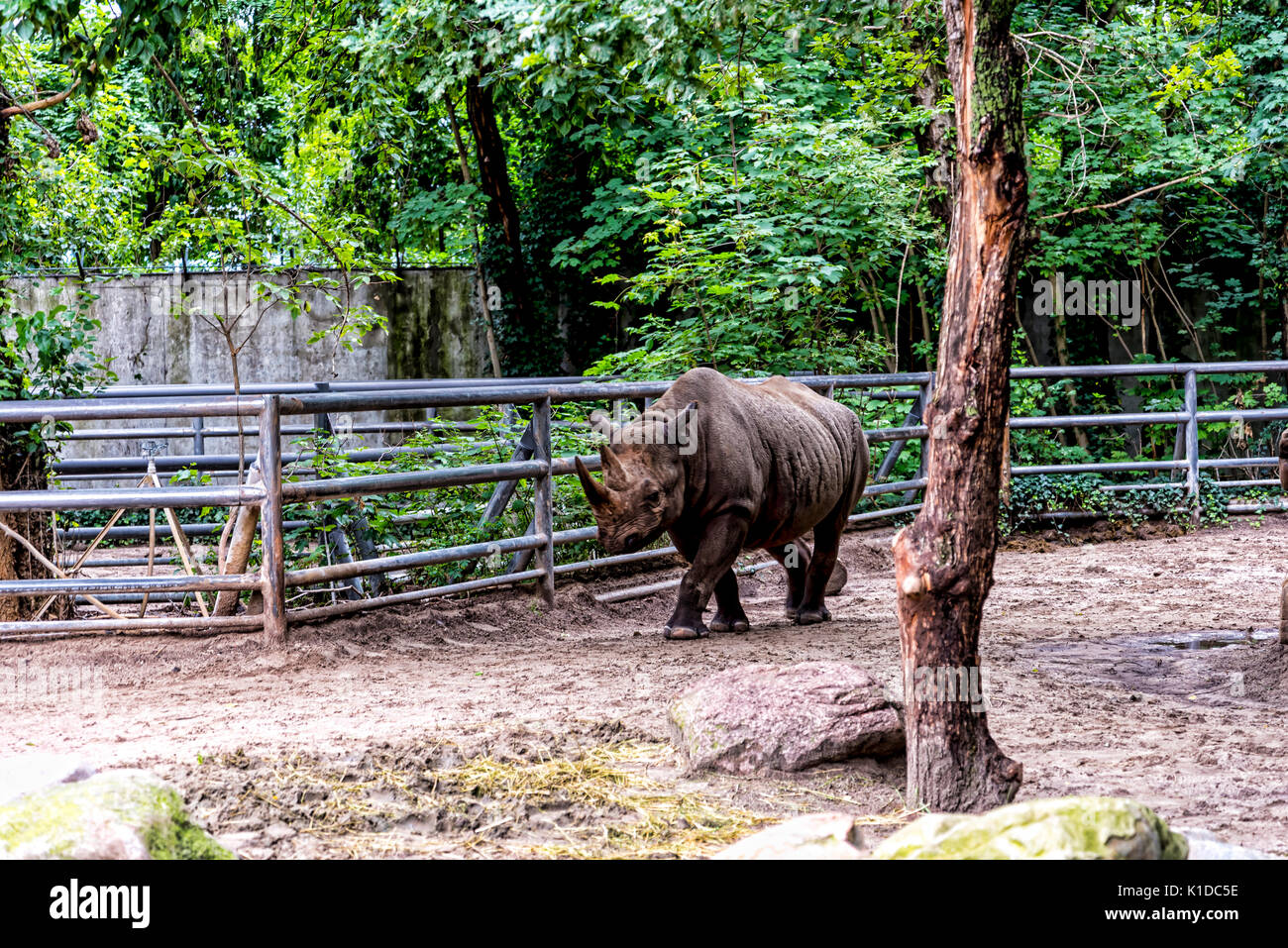 Zoological Gardens and Aquarium in Berlin Germany. The Berlin Zoo is ...
