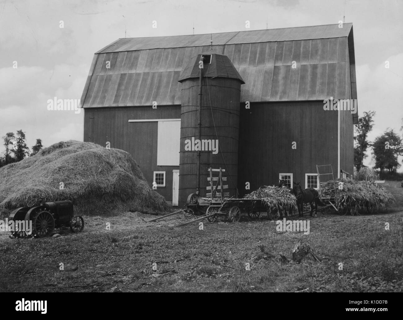 Barn and silo on farm, Farm tenancy project, Tompkins County, New York ...