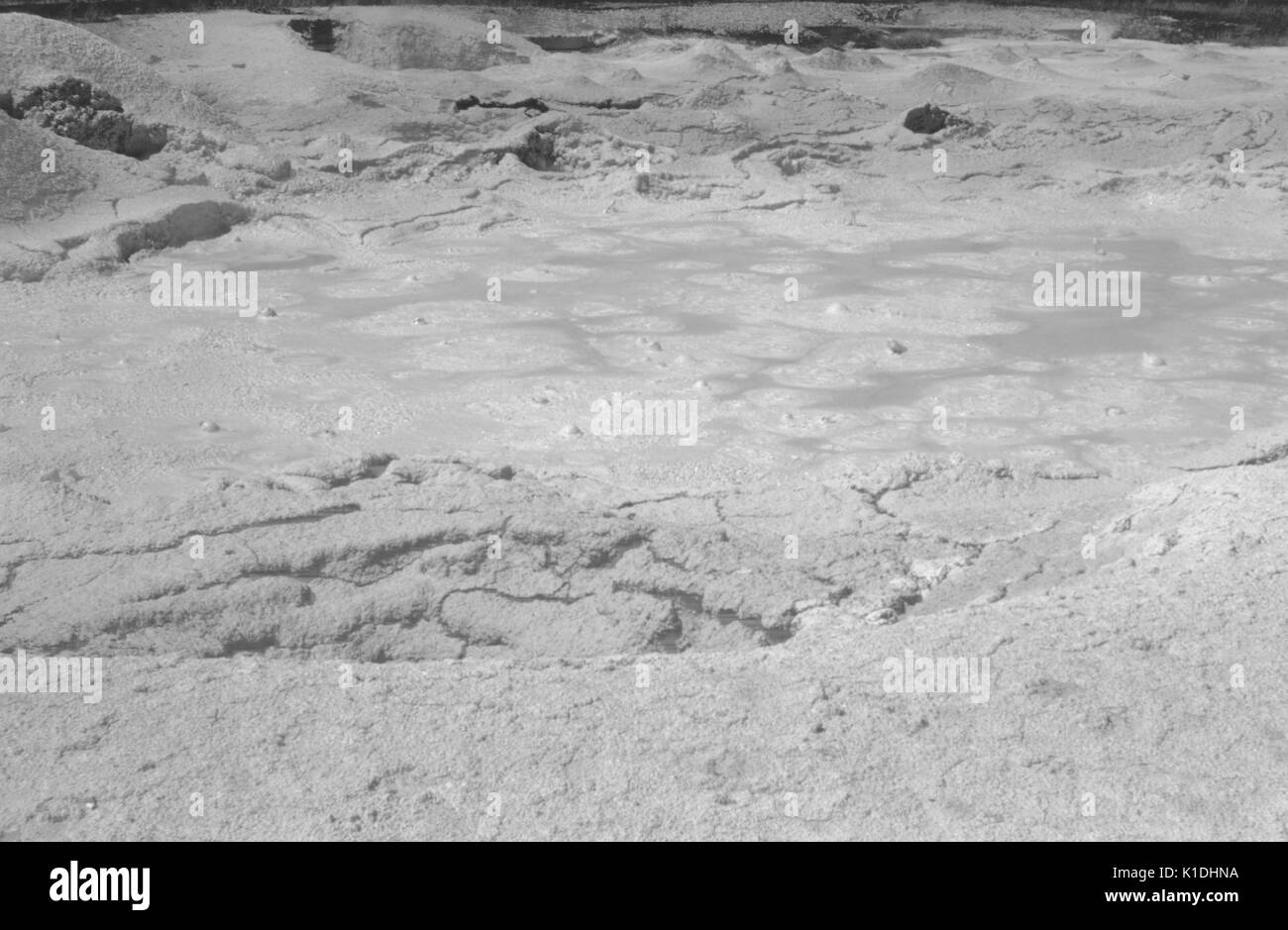 A close up photo of a mudpot, consisting of a gray clay mud, at ...