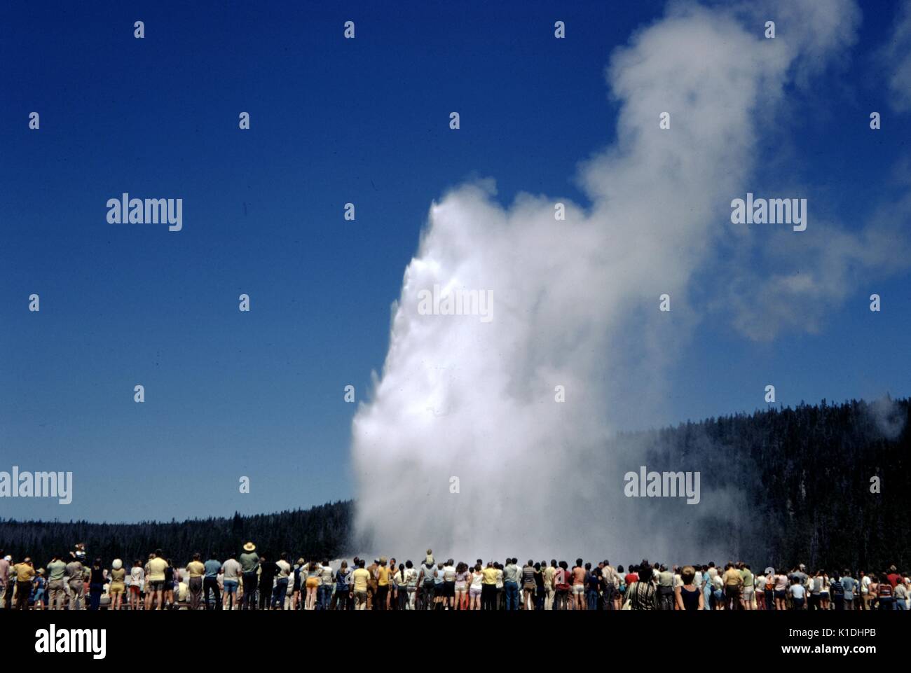 A large crowd, stretching from one side of the photograph to the other ...