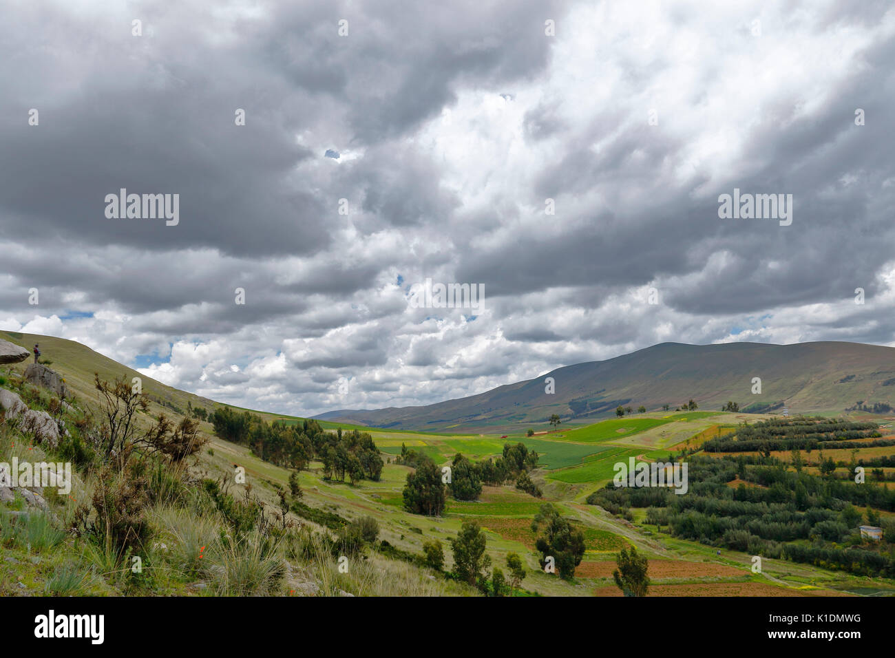 Andean crops hi-res stock photography and images - Alamy
