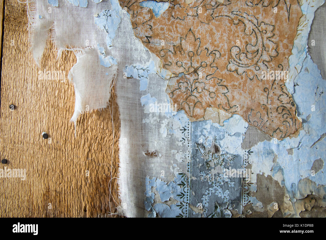 Layers of peeling wallpaper inside house in Bodie State Historic Park ...