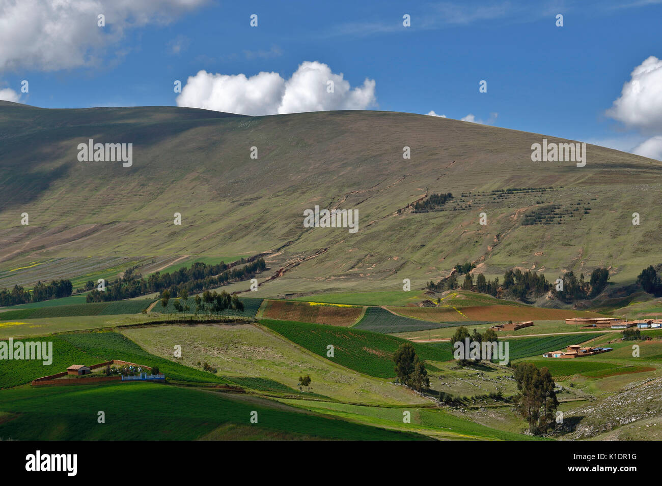 Andean landscape and crops Stock Photo - Alamy