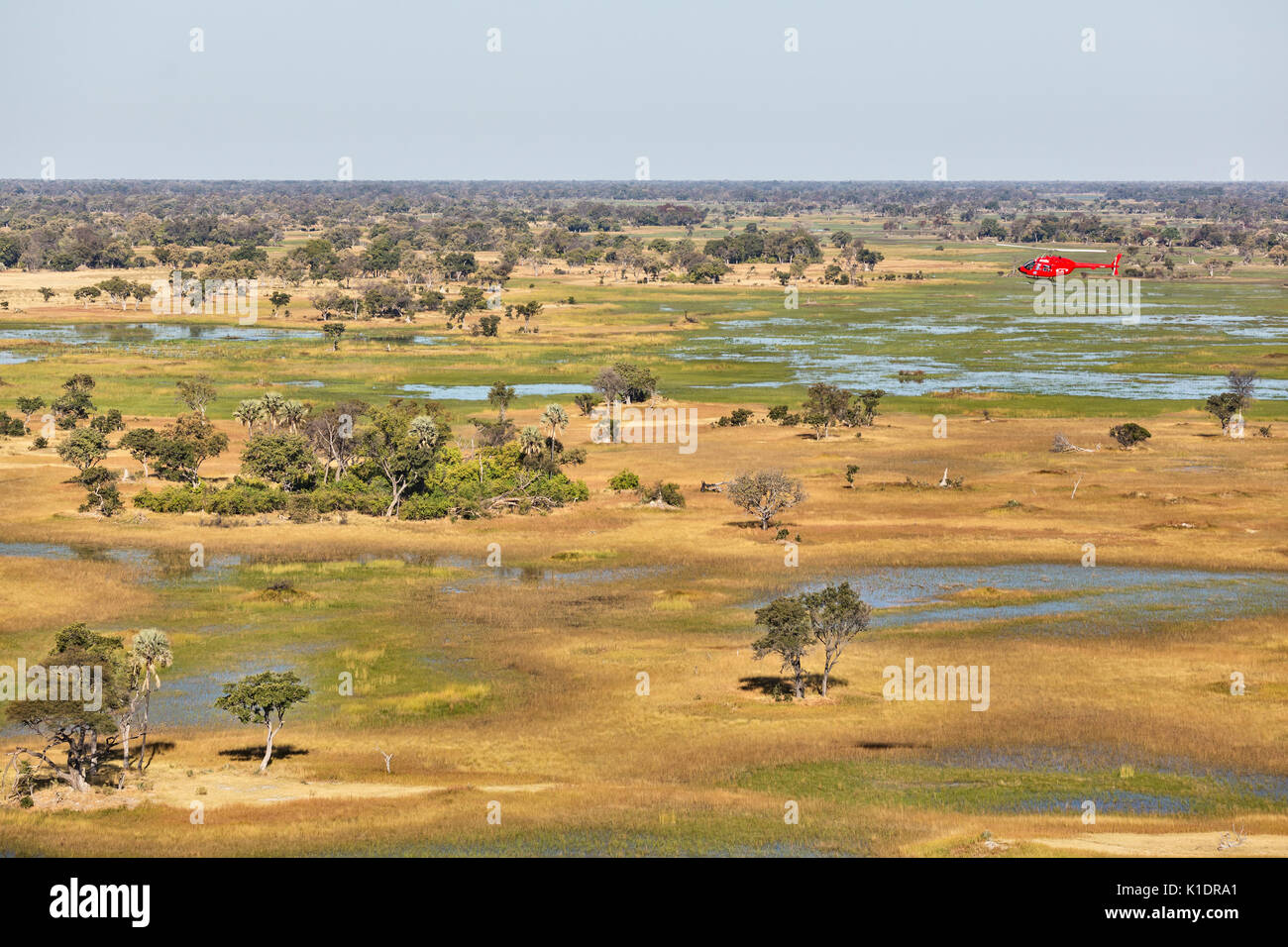 Freshwater marshes with streams, channels and islands, the helicopter ...