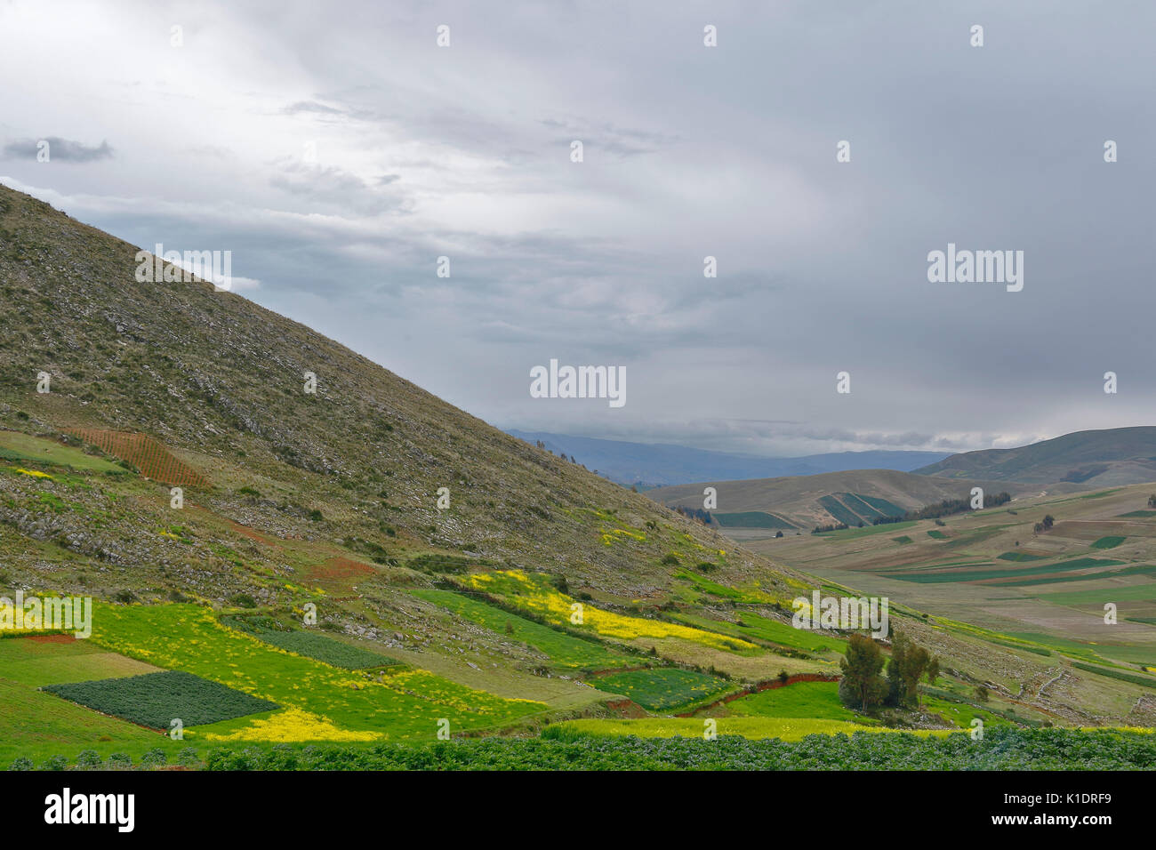 Andean crops hi-res stock photography and images - Alamy