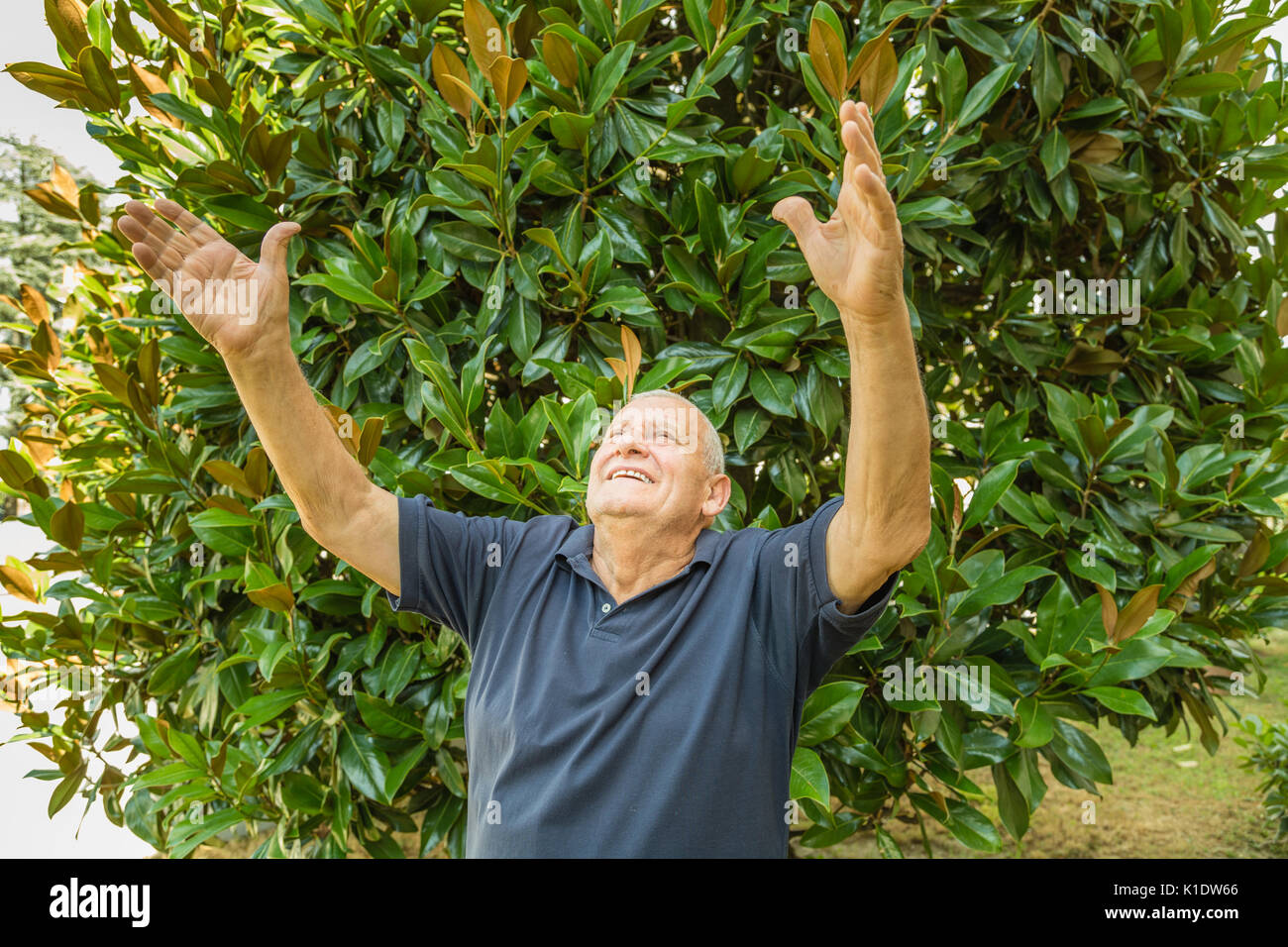 senior man raising arms to the sky on green leaves background Stock ...