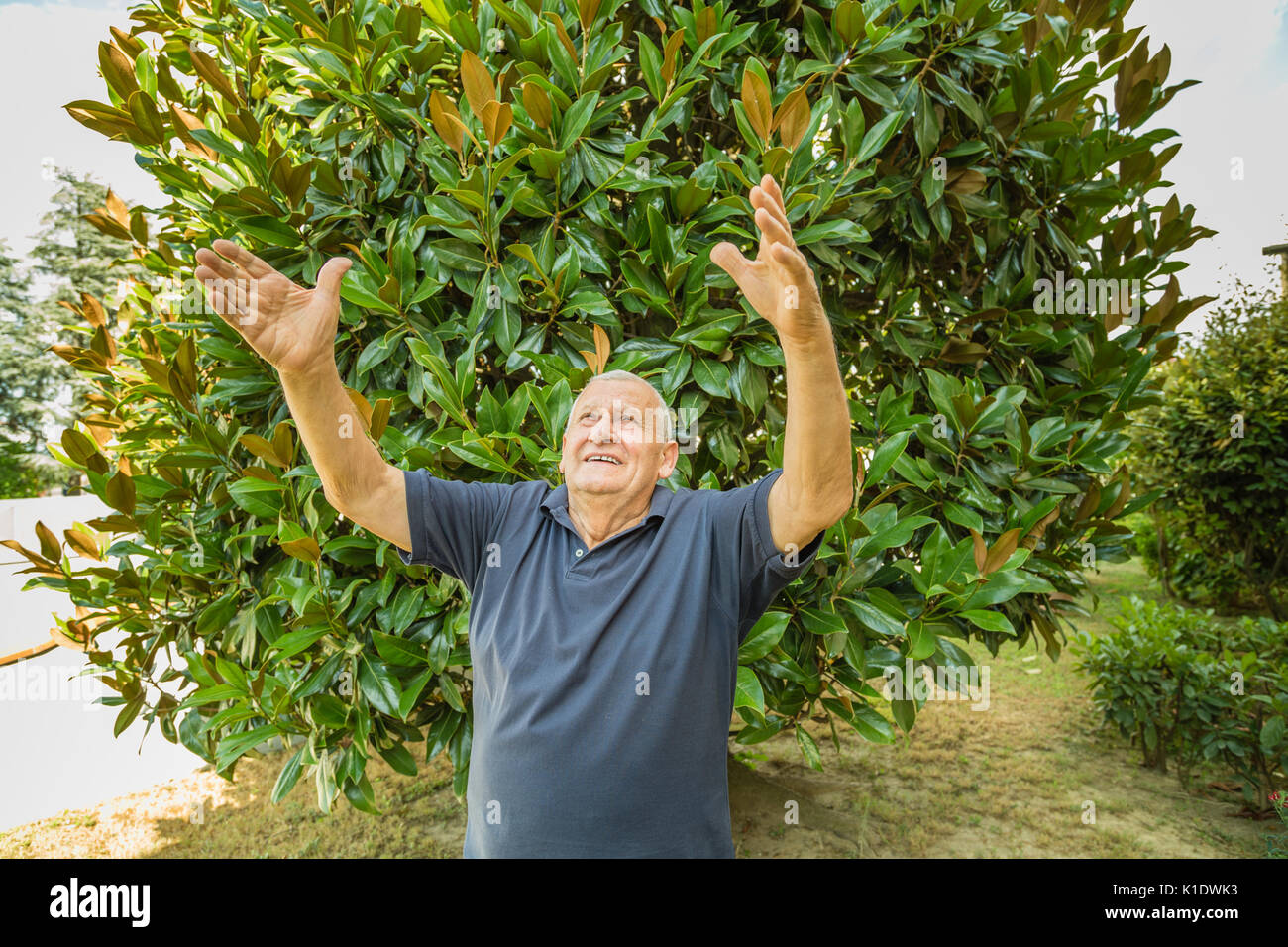 senior man raising arms to the sky on green leaves background Stock ...