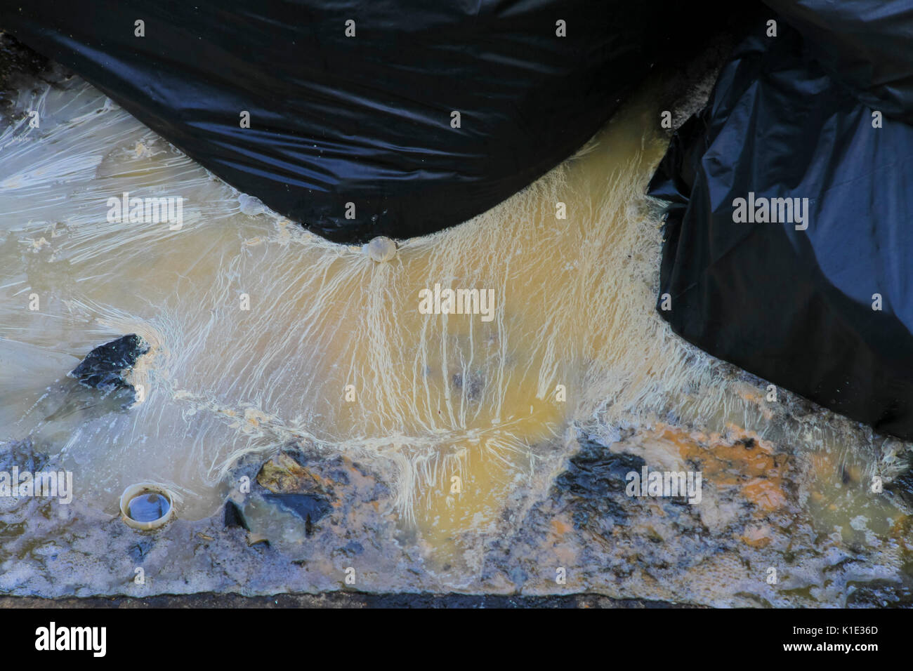 Contamination from waste from waste bags Stock Photo - Alamy