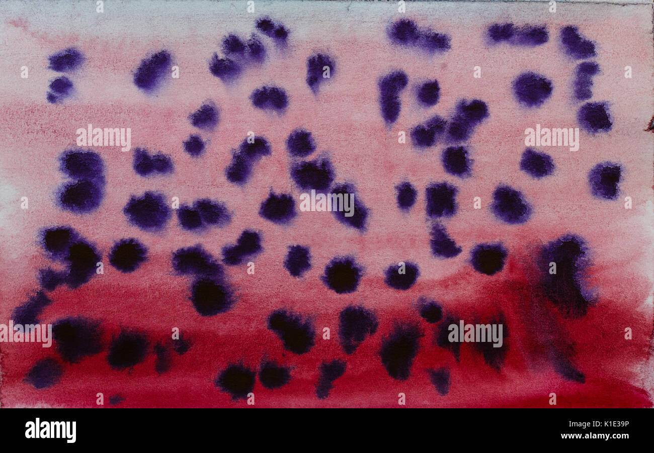 Indigo red watercolor abstraction background. Element of design. Color ...