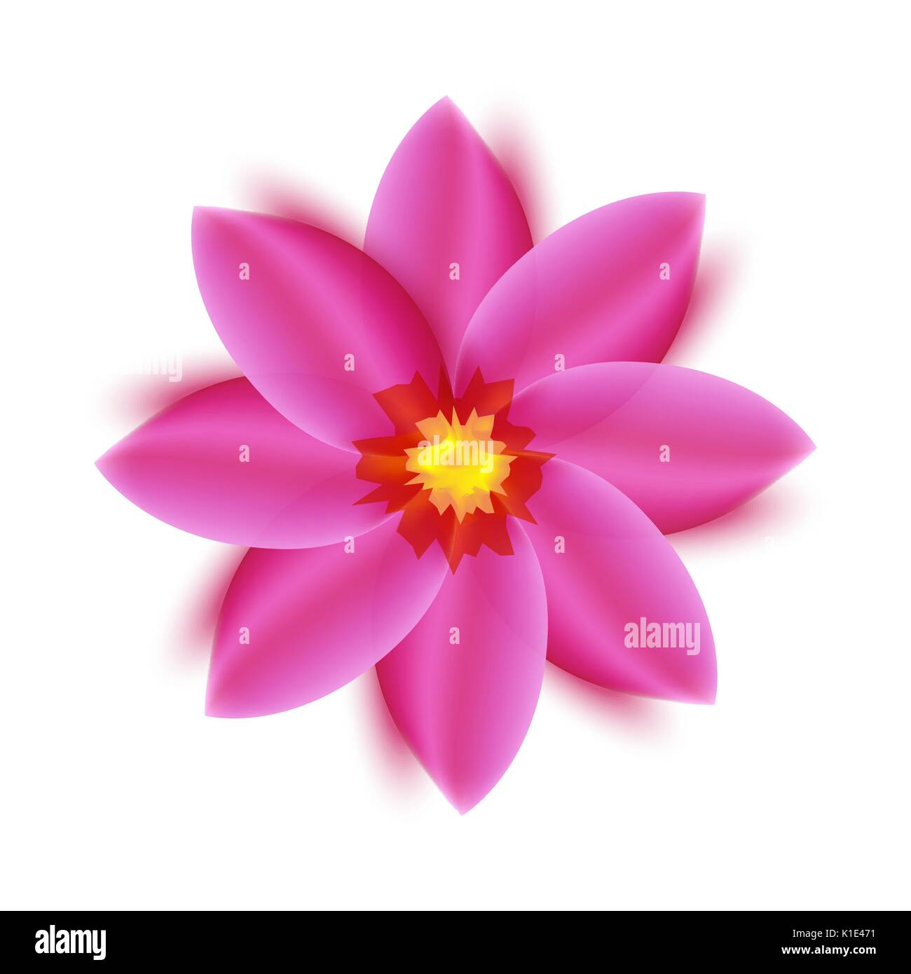 Realistic pink flower isolate Stock Vector Image & Art - Alamy